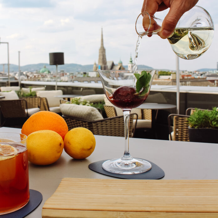 Atmosphere Rooftop Bar Ritz Carlton | Vienna | CREME GUIDES