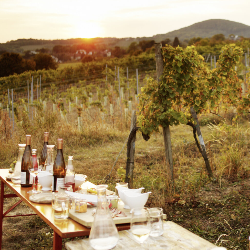 Aus'gsteckt is | Unsere liebsten Heurigen | Wien | CREME GUIDES